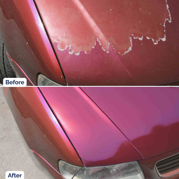 Touch-Up PRO Paint for Spray Guns - Pints, Quarts and Gallons ...